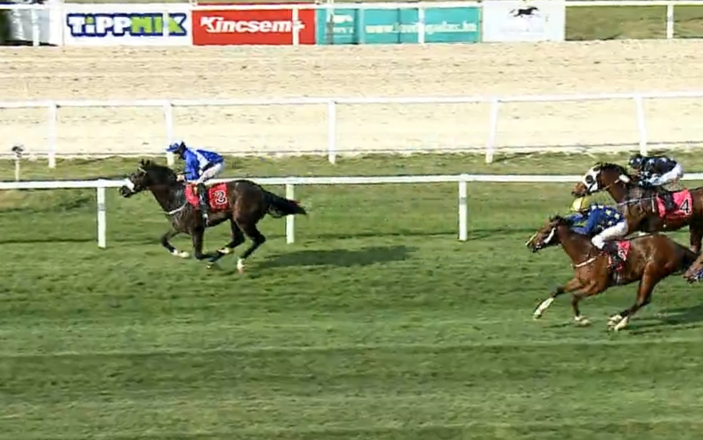 Gyöngyi és Géza nap a galoppon - Lovarda Magazin